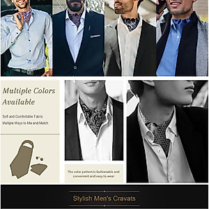 DiBanGu Navy Blue Ascot Ties for Men Floral Cravat for Men 100% Silk Woven Mens Cravat Tie and Pocket Square Set