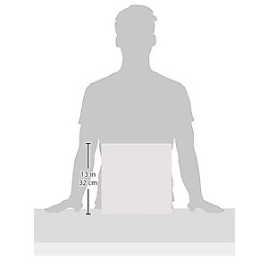 Grafix Ultra Clear .007 Plastic, Durable and Archival Film, Perfect for DIY Crafts, Stencils, Journals, Cards, 3D Embellishments, and More, 12" x 12", 25 Pack