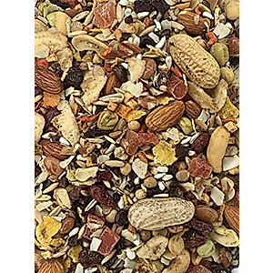 VL Goldenfeast Paradise Treat Mix, 3 lb Bag