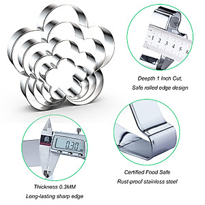 Plum Blossom Flower Cookie Cutter Set Large - 5 Inch, 4 Inch, 3 Inch, 2 Inch - Five Petal Scalloped Edge Spring Flower Cookie Cutters Shapes Molds - Stainless Steel