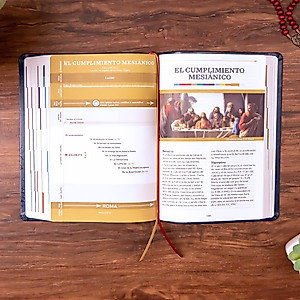 Santa Biblia: The Great Adventure Catholic Bible (Spanish Edition)