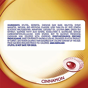 Mentos Pure Fresh Sugar-Free Chewing Gum with Xylitol, Cinnamon, Bulk, 50 Piece Bottle (Pack of 6)