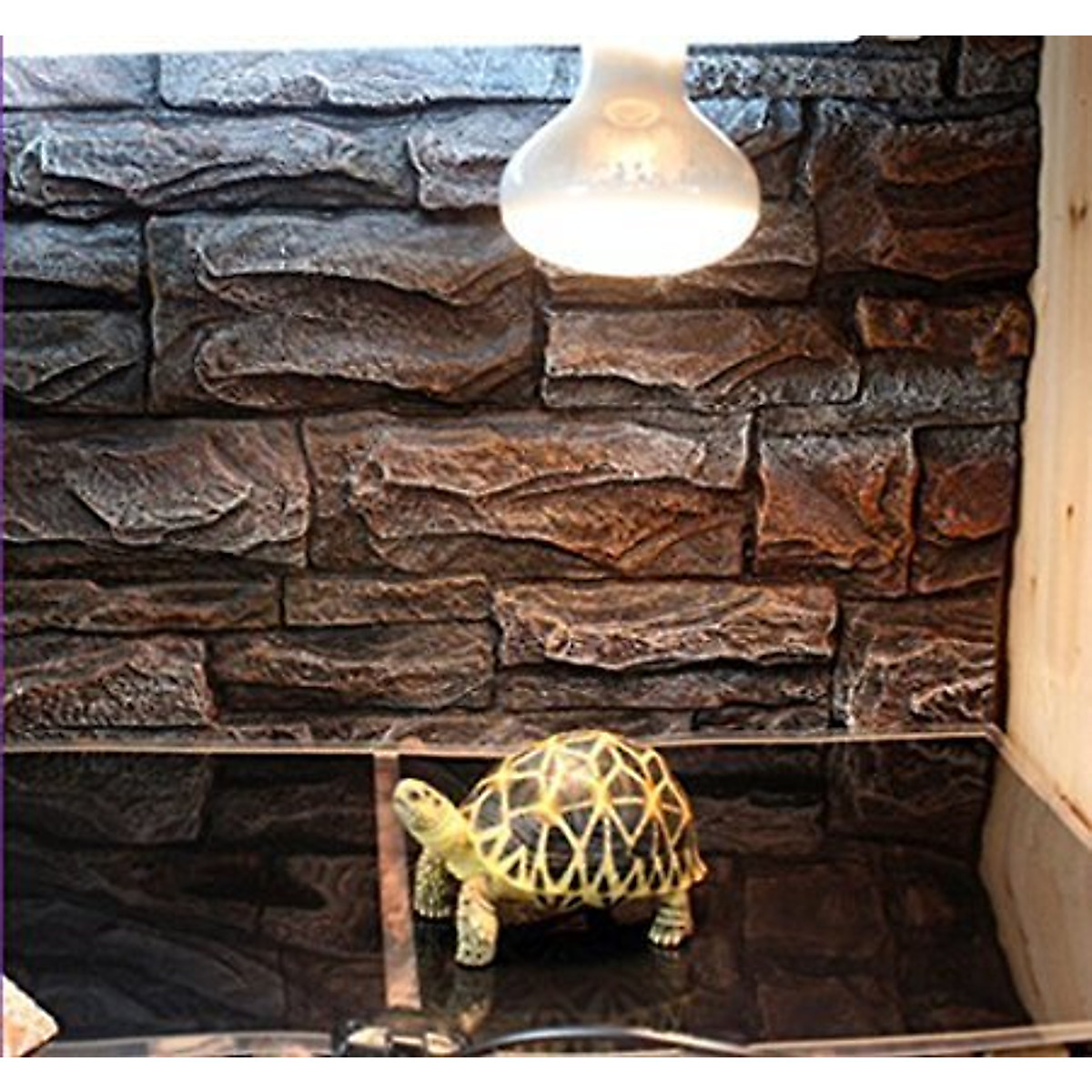 Giveme5 Upgrade US Plug 110V Reptile Heating Pad Reptile Under Tank Warmer Mat Heat Mat with Temperature Controller (7W 5.9x11)