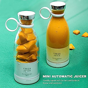 Personal Portable USB Rechargeable Electric Mini Fresh Juicer Blender and Smoothie Maker (White)