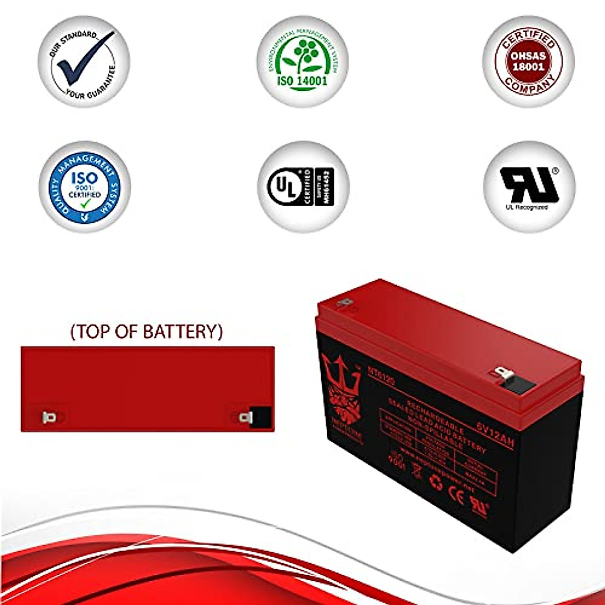 Neptune Brand 6V 12Ah SLA Replacement Battery for Tripp-Lite SMART700RM UPS Battery - 2 Pack