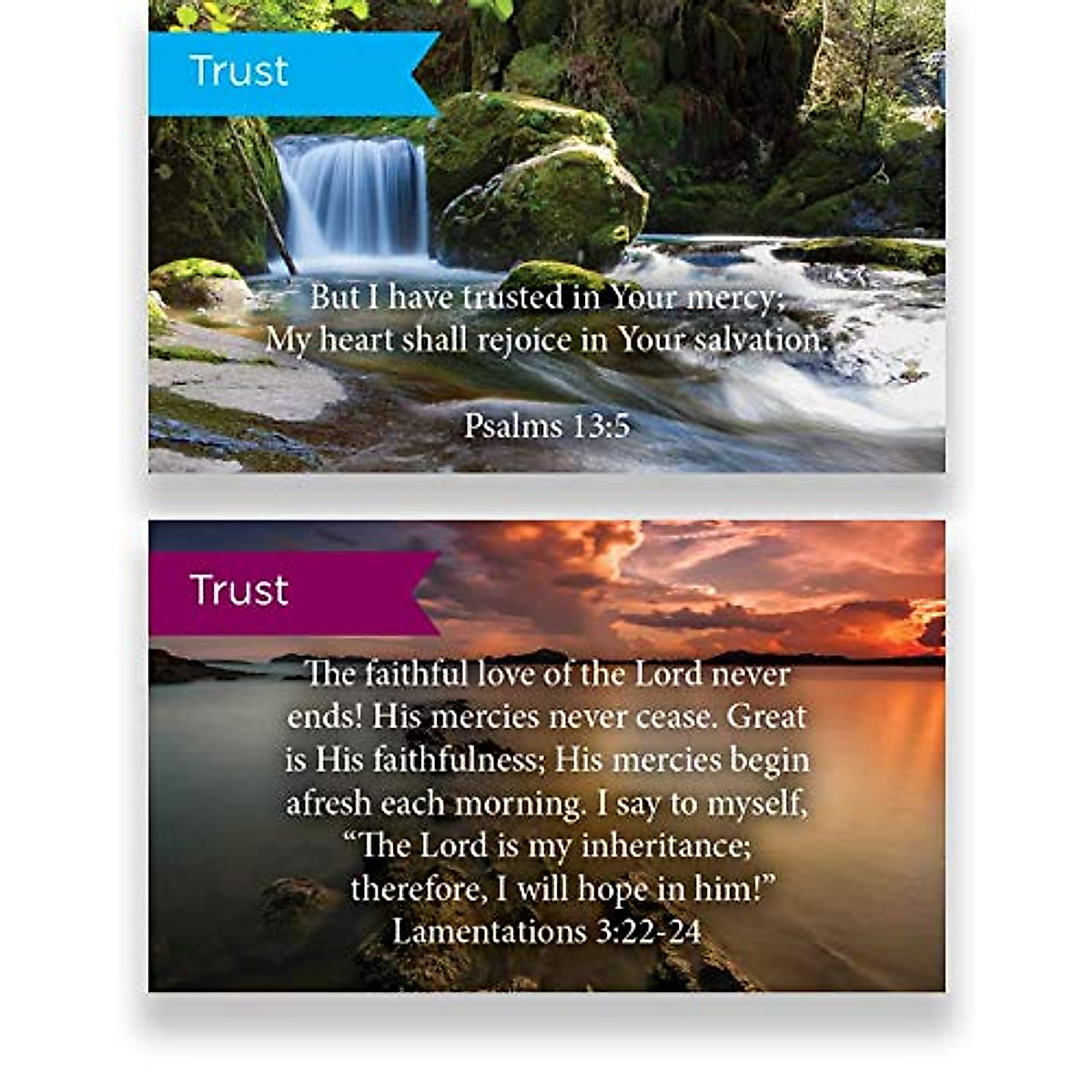 Logos Trading Post Pass Along Scripture Card Variety Pack | All 60 Designs | 1 of each Design | Pack of 60 - Assortment 13