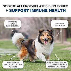 Chinichu Dog Allergy Relief - Soft Chews for Skin & Seasonal Allergies - Anti Itch - Omega 3 Probiotics - Salmon Oil Digestive Health - Salmon Flavor - 120 Count (Seafood, Small)