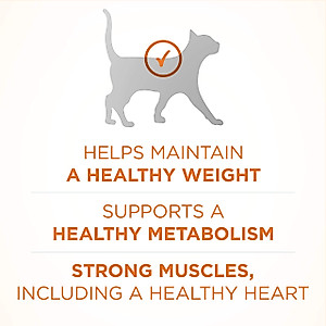 Purina ONE High Protein, Healthy Weight Dry Cat Food, +Plus Ideal Weight With Turkey - 7 lb. Bag