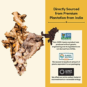 VAHDAM, Turmeric Ginger Latte Mix (40 Cups, 3.53oz) Caffeine-Free, Non-GMO, Gluten Free | Golden Milk Powder With Curcumin, Black Pepper & Ginger | Brew Hot/Iced Tea Or Turmeric Latte