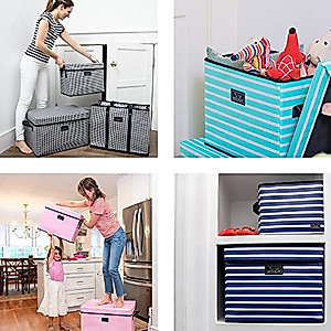 SCOUT Rump Roost MED - Medium Lidded Storage Bin with Handles, Collapsible, Stackable, Doubles as Seat or Table, Holds 80 Lbs