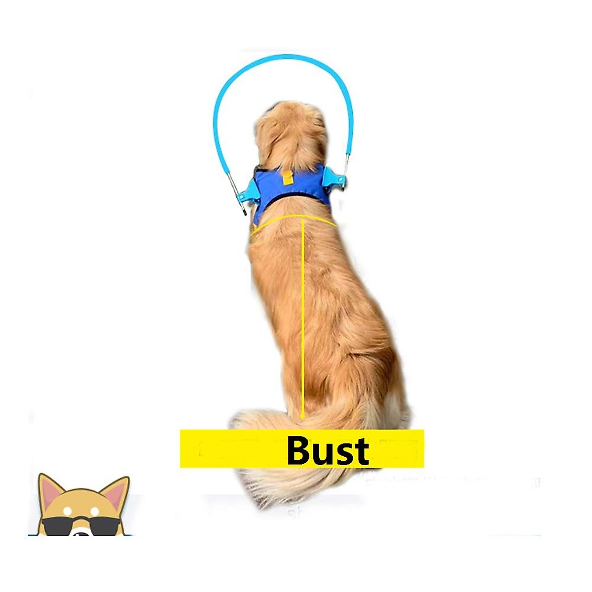Tutuba Harness for Blind Dog, Safe Blind Dog Harness Guide Device,Protective Vest Ring for Dogs-Prevent Accidents & Build Confidence