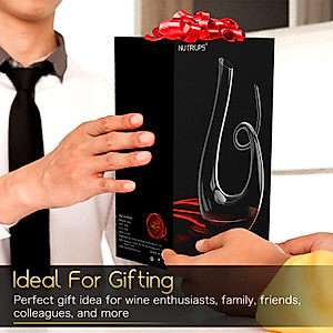 NUTRIUPS Wine Decanter Swan Red Wine Decanters Hand Blown Wine Decanter and Carafe Decanter for Wine