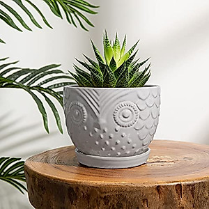Greenaholics Owl Planters Ceramic Animal Plant Pots- 6.1 Inch White Succulents Aloe Planter Indoor Large Animal Flower Pots with Attached Tray and Drainage Hole for Cactus Snake Plant Decorative Gifts