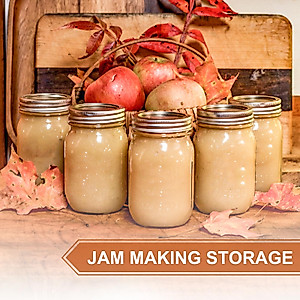 Canning Jar Lids With Rings For Mason Regular Mouth 24Pcs Regular Mouth Kerr Ball Jars Lids With Rings Good Sealing Performance Food Grade Material Kerr Mason Jars For Canning Food Fruits DIY Jam