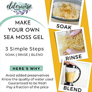 Elderwise Raw Sea Moss | Organic Seamoss Makes 20oz of Gel | Wildcrafted Golden Sea moss | Raw & Non GMO Certified | Sundried | Mineral and Vitamin Rich | Golden