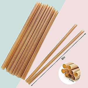 100pcs Sugarcane Straws 8 Inch Sturdy Biodegradable Drinking Straws Plastic Free Eco-Friendly Compostable Smoothie Straws for Home Restaurant Beach Parties Not Foggy