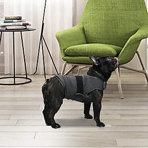 KittyStar Breathable Dog Shirt for Thunderstorm, Dog Anxiety Vest Jacket Warp,Puppy Calming Coat Anxiety Relief (M, Grey)