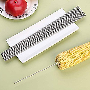 BigOtters Barbecue Skewers, 100PCS Skewers for Grilling Stainless Steel Skewers BBQ Needle Sticks Metal Skewers for Meat Shrimp Chicken Vegetable Outdoor Cooking
