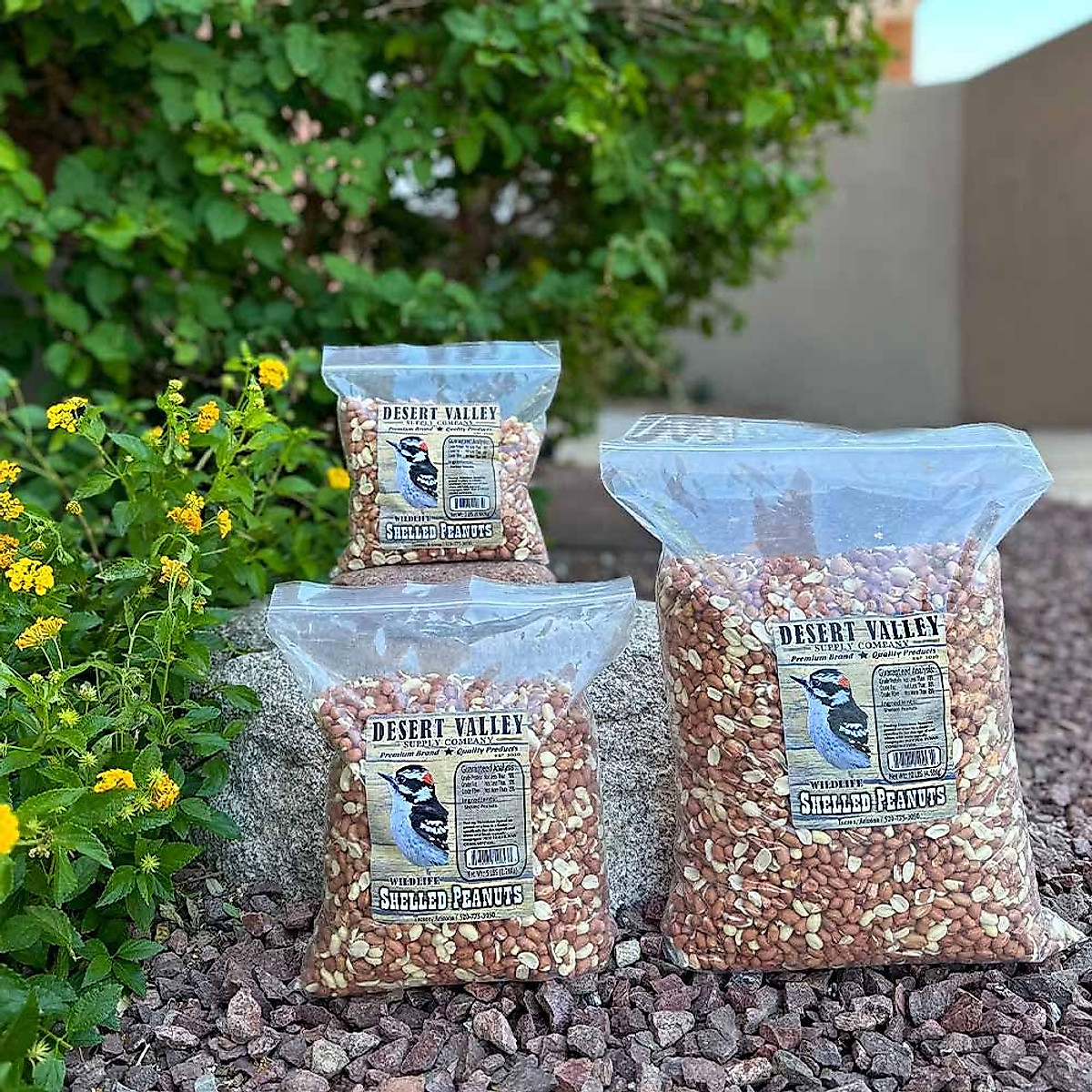 Desert Valley Premium Shelled Peanuts - Wild Bird - Wildlife Food, Squirrels, Cardinals, Jays & More (5-Pounds)