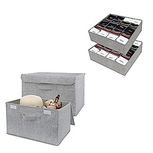 GRANNY SAYS Bundle of 2-Pack Large Storage Bins with Lids & 2-Pack Socks Storage Organizers