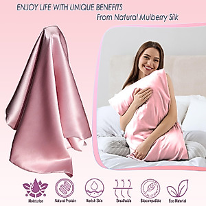 Jadebeads 100% Pure Mulberry Silk 22Momme Luxurious Pillow Cases for Hair and Skin Pink Silk Pillowcase with Zipper Silk Pillow Covers 1 Pack for Gifts (Standard 26"x 20")