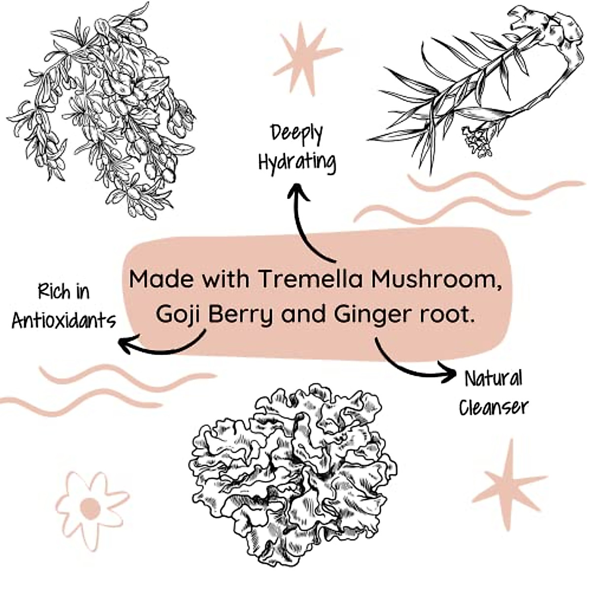 Gryph and IvyRose Daily Embrace 2-in-1 Sulfate Free and Paraben Free Shampoo and Conditioner - Soft Hair Hydration Shampoo/Conditioner - Goji Berry & Ginger (1-Pack)