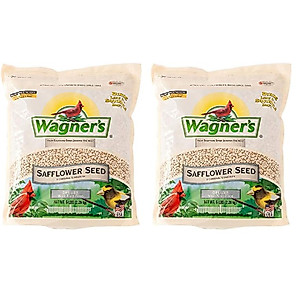 Wagner's 57075 Safflower Seed Wild Bird Food, 5-Pound Bag (Pack of 2)