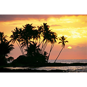 Posterazzi Hawaii Big Island Wailua Bay View Of Palm Trees At Sunset Calm Ocean Waters Poster Print, (19 x 12)