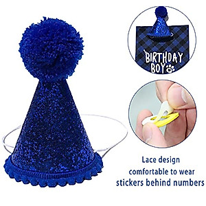 Dog Birthday Party Supplies, Boy Dog Birthday Bandana Scarf and Dog Birthday Hat with Number.