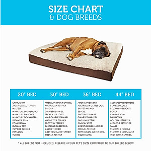 Orthopedic Pet Bed Foam-Mattress for Dogs & Cats - Quilted Rectangular Fits Crate Carrier - Medium 30 Long x 20 Wide