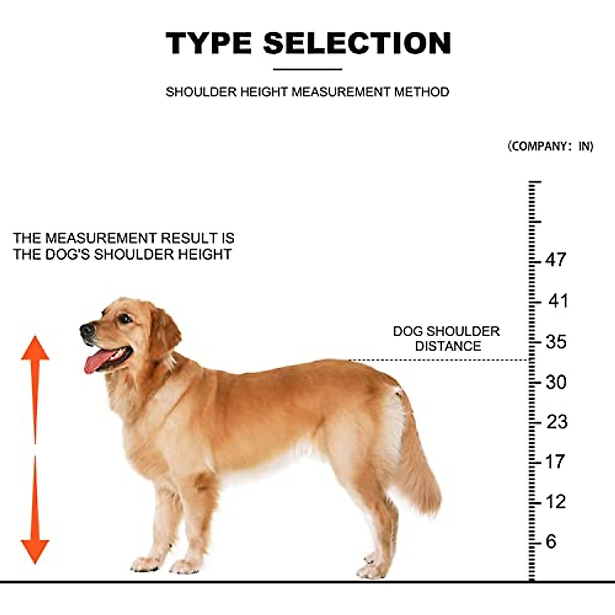 Sonorphine Dog Breeding Stand Stainless Steel Dog Breeding Stand Adjustable Height and Length Pet Fixed Bracket Dog Breeding Accessories Supplies Breeding (L)