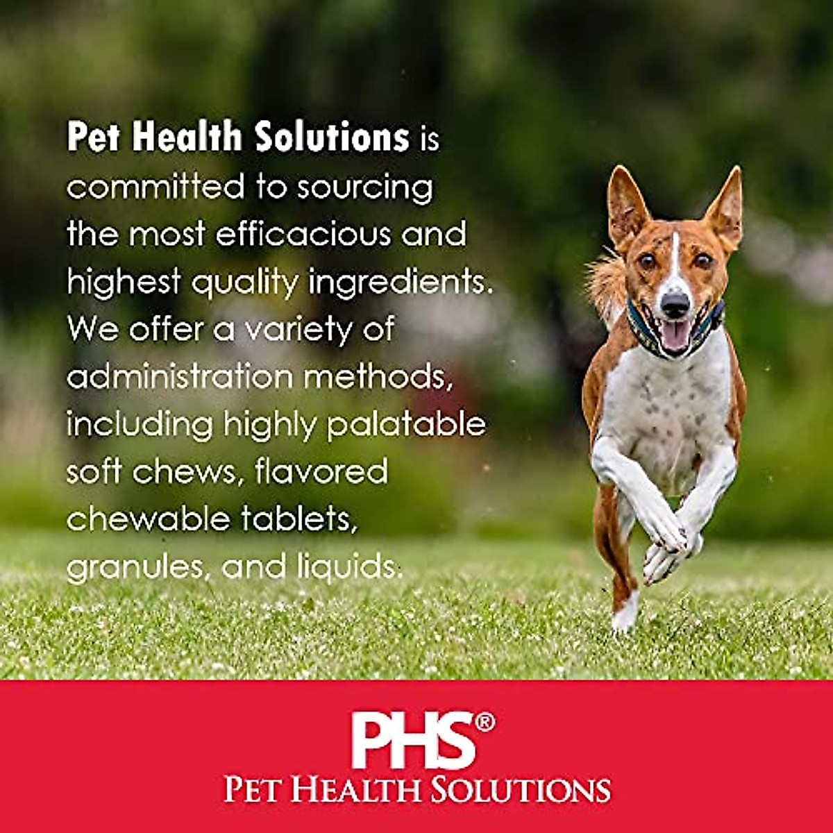 Proflora Probiotic for Cats - Healthy Digestion - Boost Immune System - Normal Bowel Function - Skin and Coat Health - Supplement for GI Tract - 30 Servings