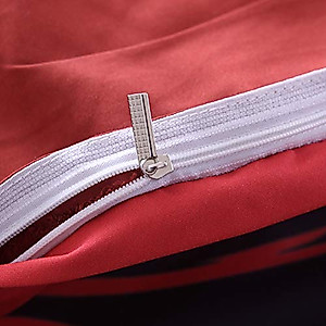 YSJ 3 PCS Skull Twin Full Queen King Duvet Cover Set with Zipper Closure,Ties-Black Red Skull Pattern Printed-King Size Bedding Set Comforter Protector Pillowcases (Queen)