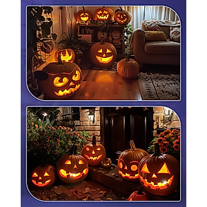 Luditek Pumpkin Carving Kit, 11 Pieces Halloween Jack-O-Lanterns Professional Stainless Steel Pumpkin Carving Tools, Pumpkin Cutting Supplies Tool Kit Halloween Gifts for Adults Kids