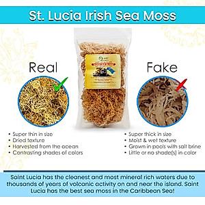 BUIE HOLISTIC HERBS Golden Irish Sea Moss, Pure Wildcrafted, Nutrient-Rich, Dr. Sebi Inspired - Makes 120+ oz Gel | Pure & Natural Raw Gold Irish Sun - Dried Sea Moss for Health & Wellness / (8 oz)
