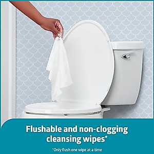 Medline Readyflush Biodegradable Flushable Wipes, 9 Tubs of 60 Wipes