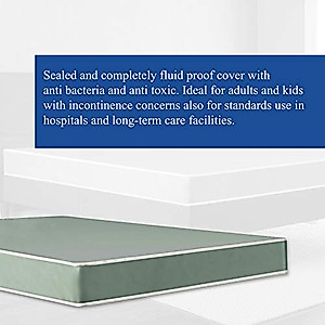 Treaton, 5-Inch Medium Firm Double Sided Tight top Foam Rolled Vinyl Mattress, Twin XL