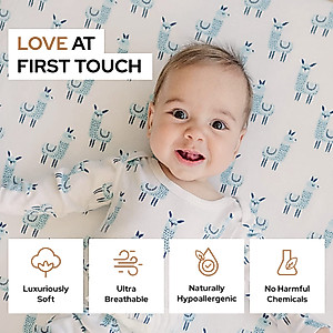 Mini Crib Sheet with Llama Pattern - 100% Organic Cotton Pack n Play Fitted Sheet - Premium Mini Pack and Play Sheets - Pickle & Pumpkin Sheet Compatible as Graco Pack n Play Sheet & Mini Crib Sheets