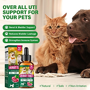 Cat & Dog UTI Treatment - Urinary Tract Support for Pets，Cranberry Kidney and Bladder Supplements, Pet Renal Health Care, Prevention and Treatment