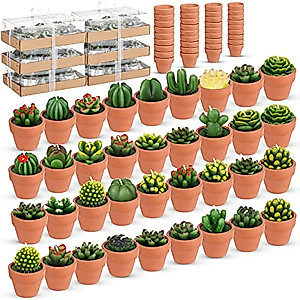 36 Pcs Succulent Candles Decorative Cactus Tealight Candle Tea Lights Handmade Baby Shower Candle Decorations Plant Candle with Mini Terracotta Clay Candle Holders for Wedding Home Party Decor