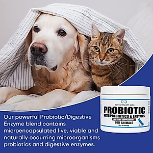 Probiotics for Dogs and Cats - Vet Formulated Made in USA Pet Prebiotic & Enzyme Powder for Digestive, Gut & Immune Health - 200 Servings (50 g)