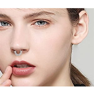 Dtja 16G Sterling Silver Piercing Nose Ring Cubic Zirconia 9mm Septum Hinged Segment Small Hoop for Women CZ Cartilage Conch Tragus Stud Earring Hypoallergenic Body Pierced Jewelry 1 Piece Luxury