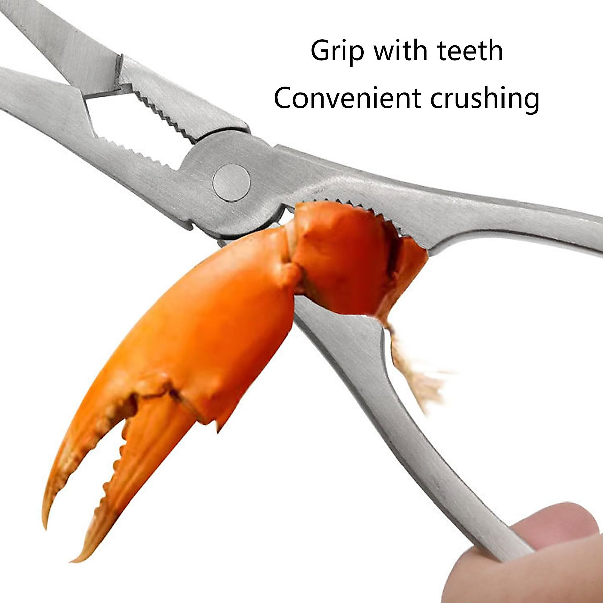 ROYALEAD Stainless Steel Seafood Tools Crabb Stripping Pincers Kitchen Crabb Shrimp Peeling Clamp Pliers Clip