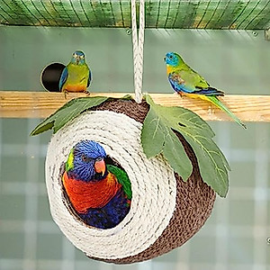 Coconut Bird House, Parrots Sparrows Coconut Nest,Coconut Shell Bird Nest House,Hand Woven Bird Nest for Parrots, Swallow, Conures, Sparrow