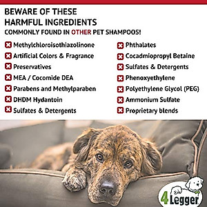 4Legger Organic Dog Shampoo and Conditioner USDA Certified - All Natural Concentrated Cedar Dog Shampoo with Peppermint, and Eucalyptus - Dog Shampoo for Itchy Skin - Dog Shampoo for Smelly Dogs 16 oz