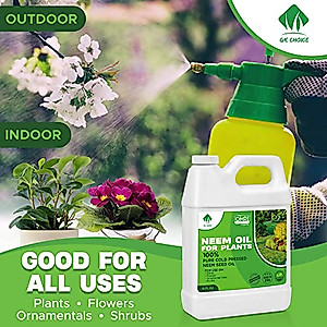 Neem Oil - Neem Oil Spray for Plants - 16 Oz - 100% Pure Cold Pressed Neem Oil for Plants Concentrate - Horticultural Spray for Indoor and Outdoor Plants, Leaf, Garden, Vegetable, Fruit Trees