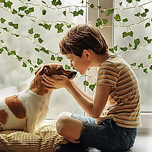 2 Pack 6.56 Ft Green Ivy Leaves Fairy String Lights Battery Operated, 80 LEDs Battery Powered Artifical Garland Plant Vine Fairy Light for Bedroom Wedding Party Holiday Patio Decor（Warm White）