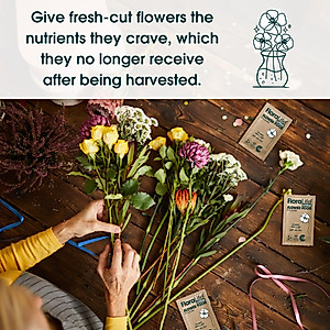 FloraLife Fresh-Cut Flower Food - Sachet Multi-Nutrient & Hydration Solution - 25 Packets