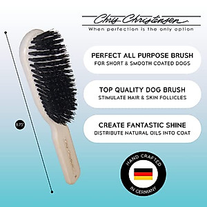 Chris Christensen Boar Dog Brush, Groom Like a Professional, Natural Boar Bristles, Beech Wood Handle, Distributes Natural Oils Making for a Healthy Coat