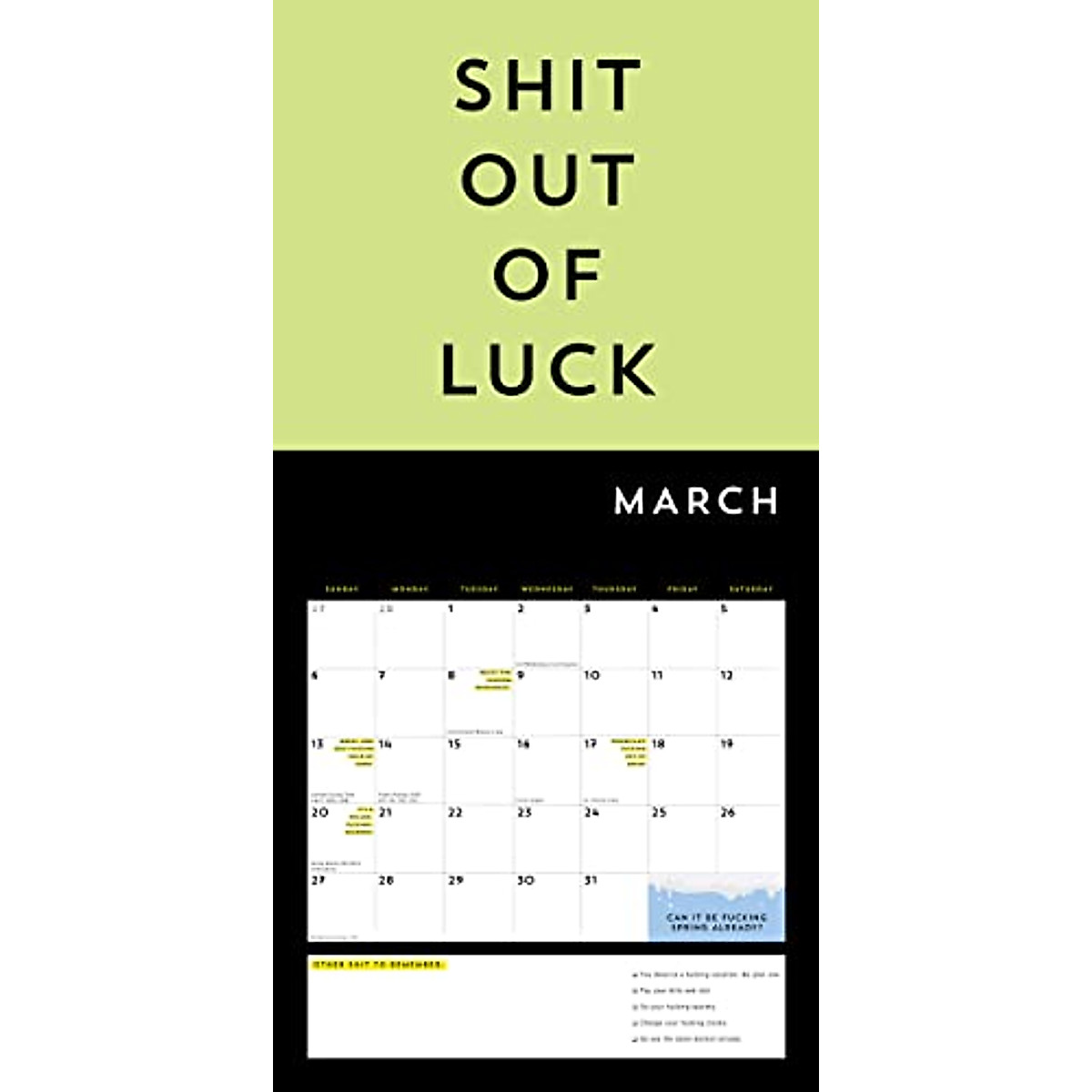A F*cking 2022 Wall Calendar: Get Your Sh*t Together This Year - Includes Stickers! (Funny Monthly Calendar, White Elephant Gag Gift for Adults) (Calendars & Gifts to Swear By)